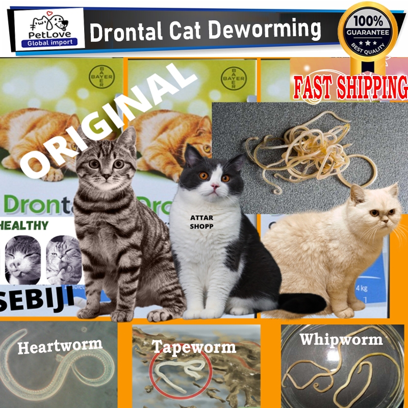 Drontal Deworming for Cat Drontal Plus dewormer 1 Tablet Tasty Dewormer ...