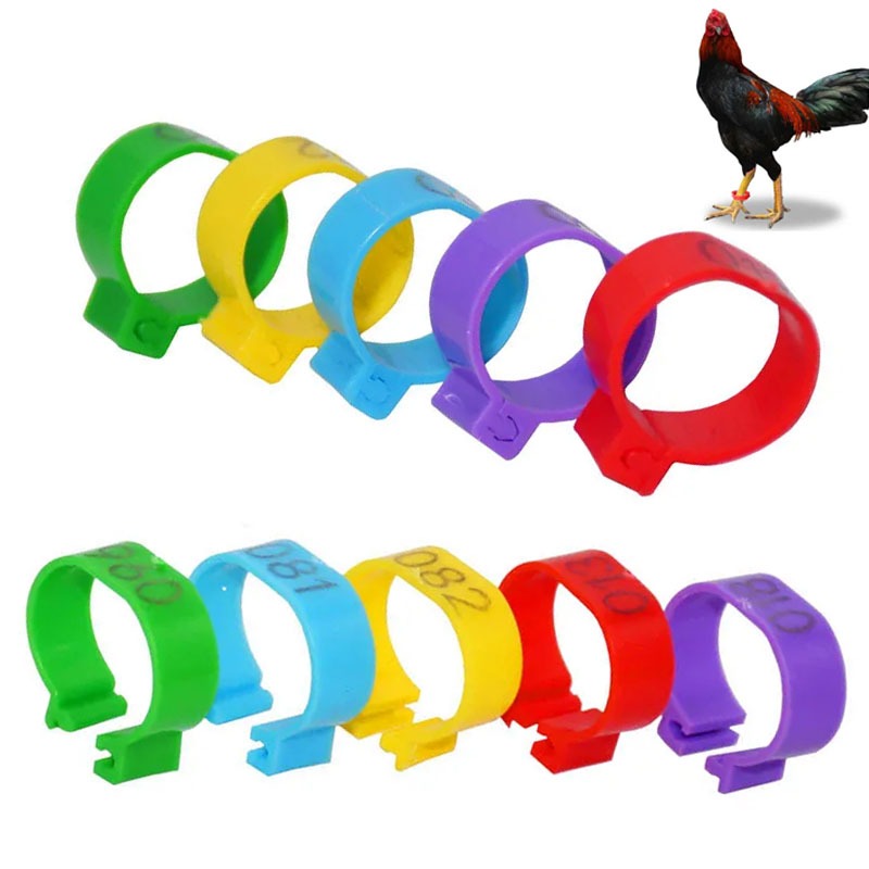 50/100Pcs Chicken Foot Ring 16mm Plastic Leg band Label Clasp for ...