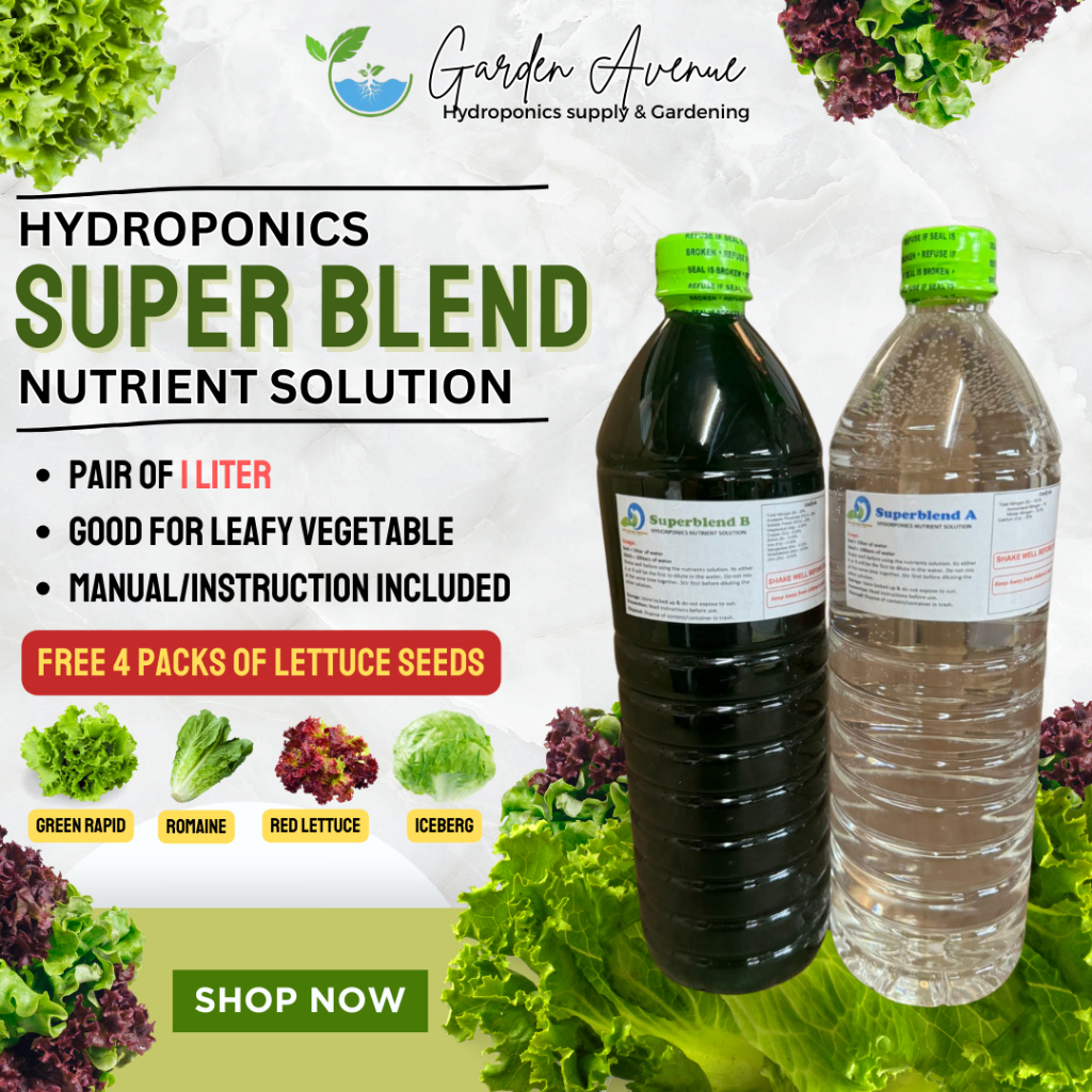 (1 LITER) HYDROPONICS SUPER BLEND NUTRIENT SOLUTION - PLUS 4 PACKS OF LETTUCE SEEDS! | Shopee ...