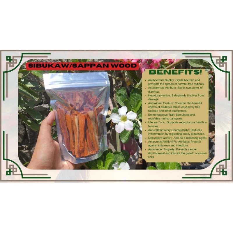 SIBUKAW/SAPPAN TREE WOOD STICKS 250g | Shopee Philippines