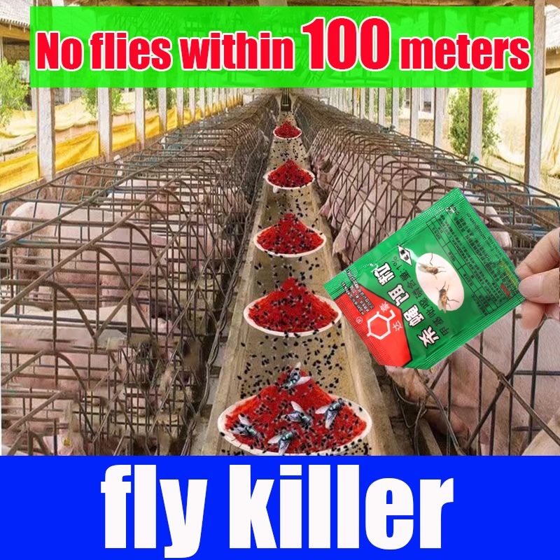No flies for10years fly Killing Bait Powder langaw trap Attractant ...