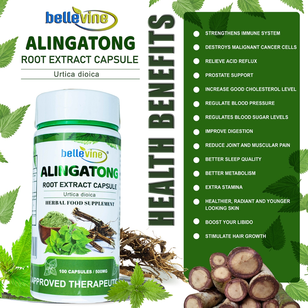 Bellevine Alingatong Root Extract Herbal Capsules 500mg x 100 Capsules ...