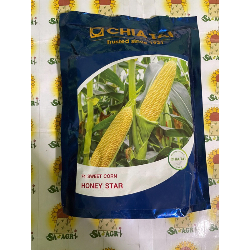 Honey Star Japanese Sweet Corn Seeds (kilo) | Shopee Philippines