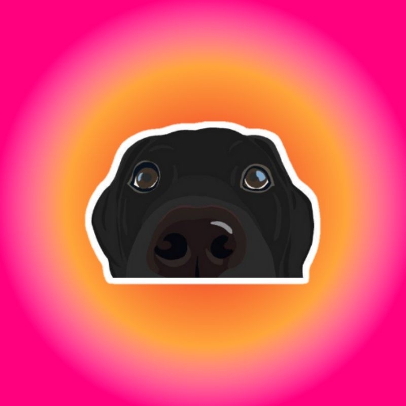 Witty Dog Peeker Stickers | Vinyl Matte Laminated Waterproof and ...