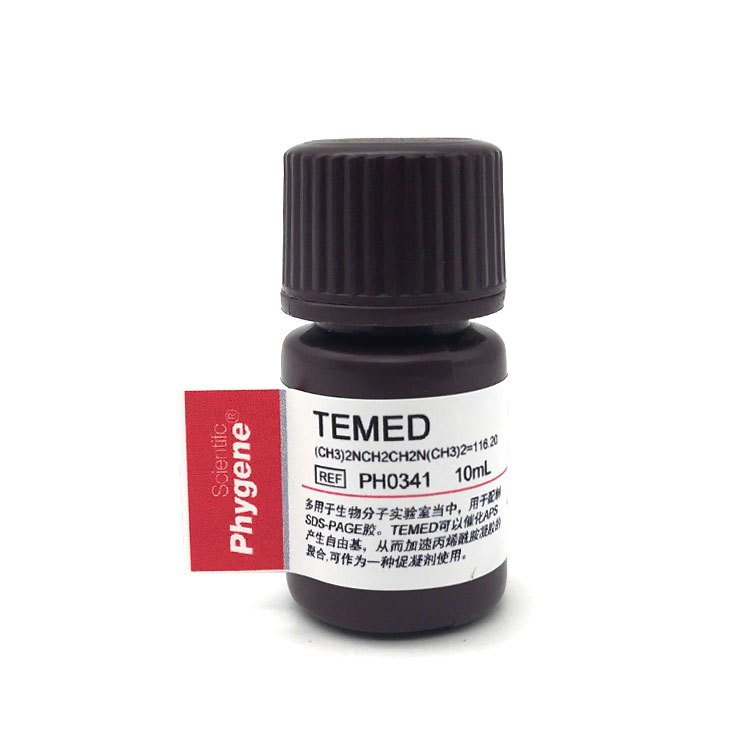 TEMED 10mL PAGE gel preparation and electrophoresis gel preparation ...