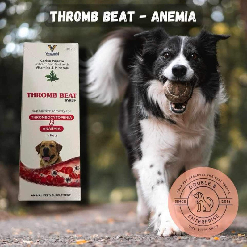 Thromb Beat (Thrombocytopenia & Anemia) | Shopee Philippines