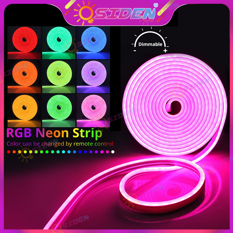 OSIDEN neon lights 24V led strip light music sync cove light IP67 strip ...
