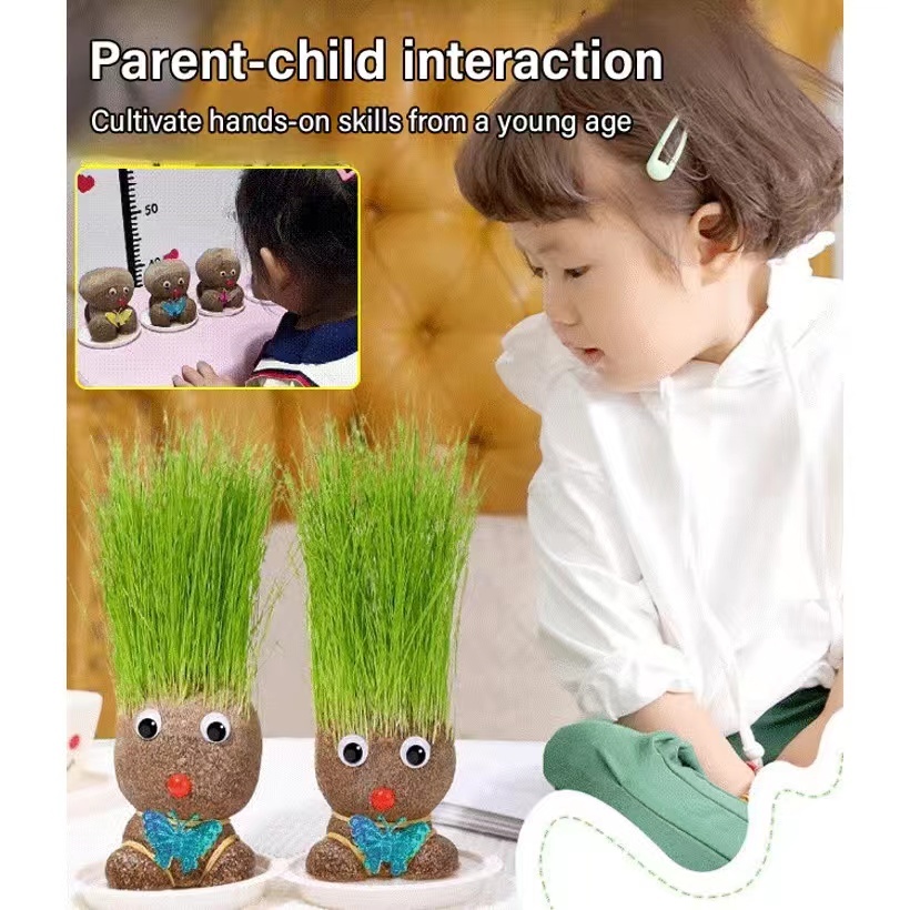 Lansite Grass Head Mini Plant potted plant garden lanscaping decking ...