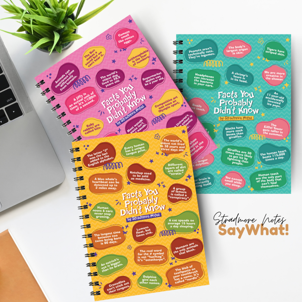 Stradmore 2024 Saywhat Spiral Notebook | Shopee Philippines