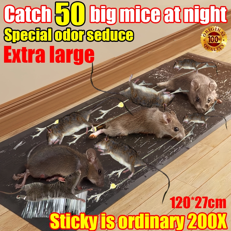 Catch 50 big mice Mouse Sticky mouse trap Sticky is ordinary200x mouse ...
