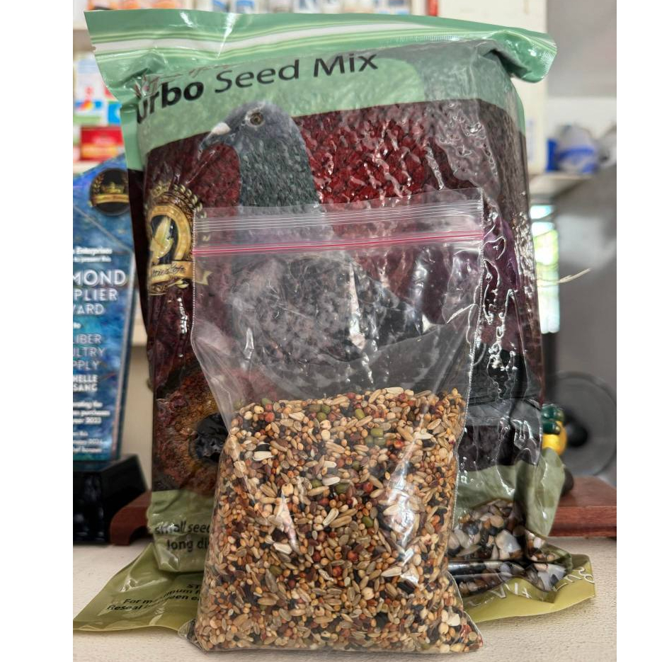 Turbo Seed Mix Repacked in 100g / 250g/ 500g Royalties Victery for ...
