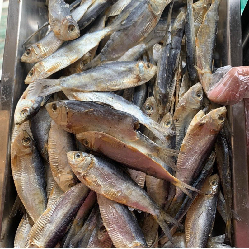 Medium Tamban from Bicol 100grams | Shopee Philippines