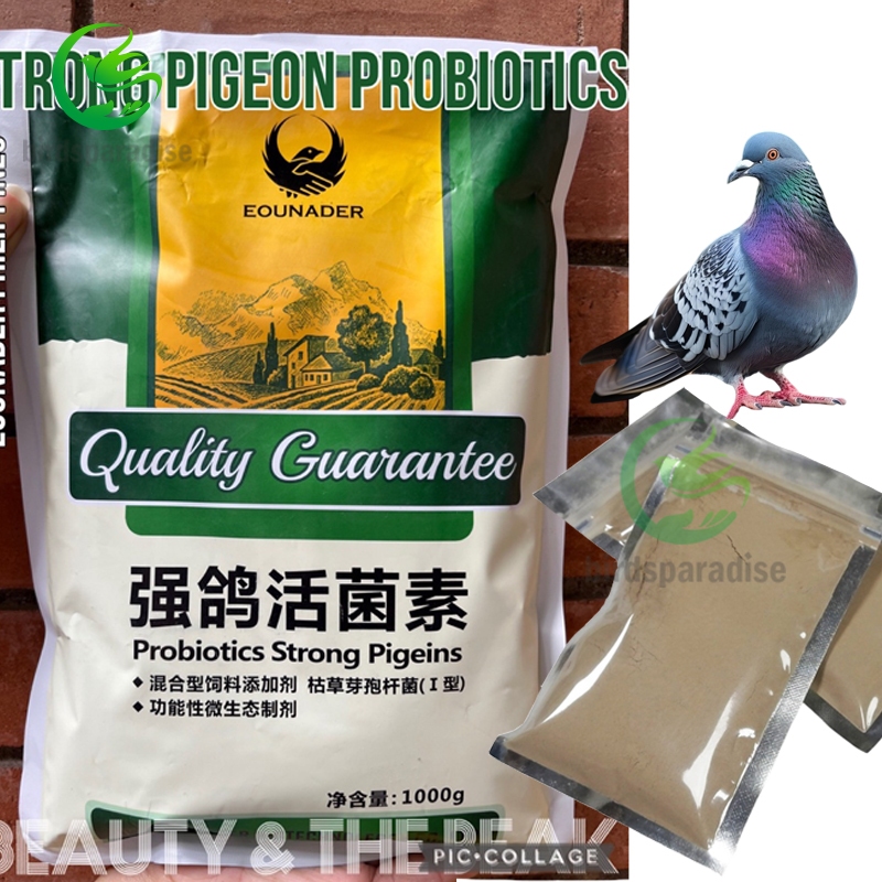 EOUNADER Strong Pigeon Probiotics for Digestive Immunity and Mental ...