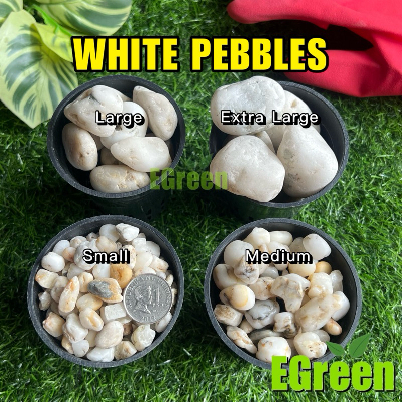WHITE PEBBLES - 1KILO | Decorative Stones Pebbles | Shopee Philippines