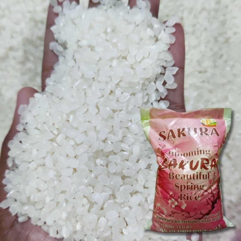 ZT Sakura Japanese Rice 5kg | Shopee Philippines