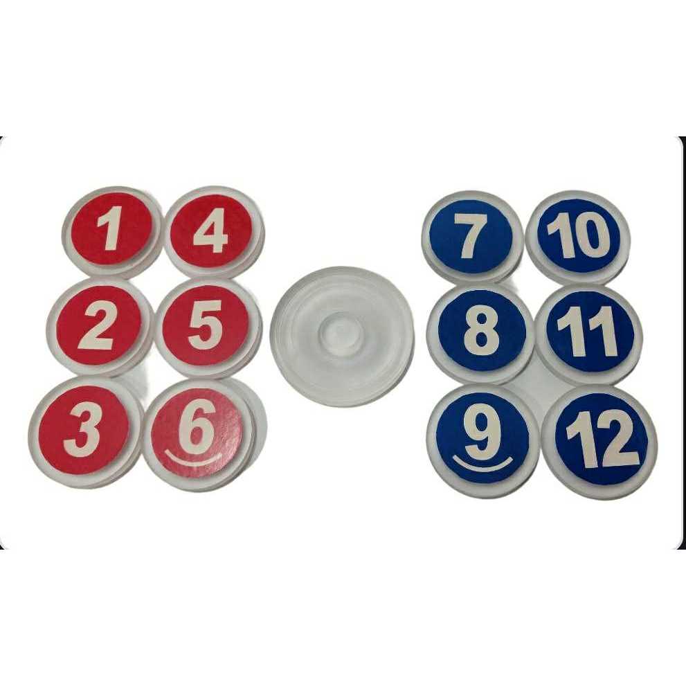 Pitcha ng Pool Fiber Pool Chips With Sticker Numbers | Shopee Philippines
