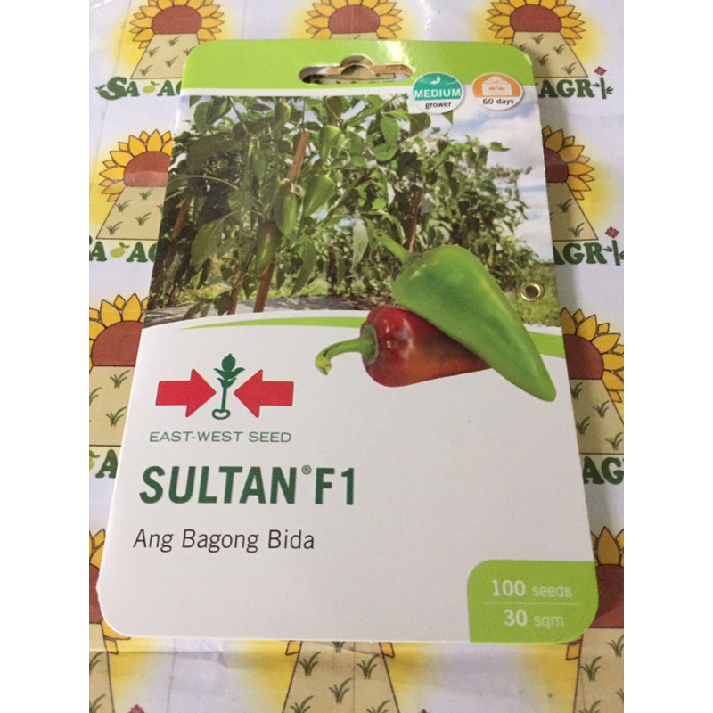 Sultan F1 Hybrid Bell Pepper Seeds | Shopee Philippines