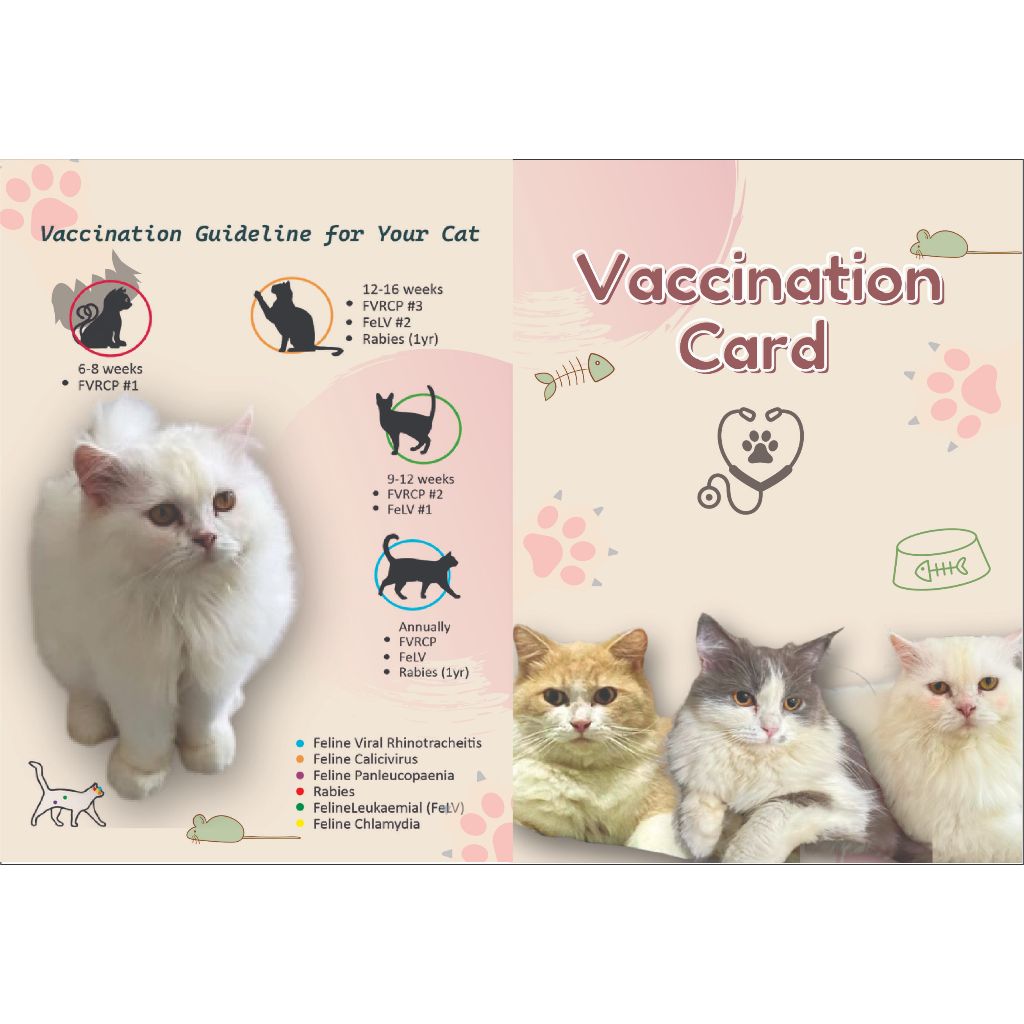 Cat Vaccination Card | Shopee Philippines