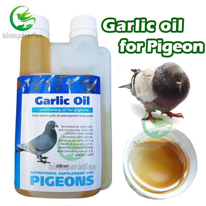 50ml Garlic oil for Pigeon racing to anti-bacteria and Immune system ...