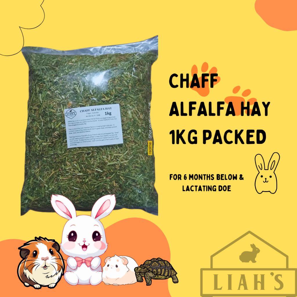 Alfalfa Hay Dust Reduced (CHAFF) - for Livestocks | Shopee Philippines