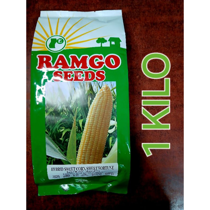 SWEET FORTUNE F1 (1 KILO) HYBRID SWEET CORN SEEDS / MAIS SEEDS BY RAMGO ...