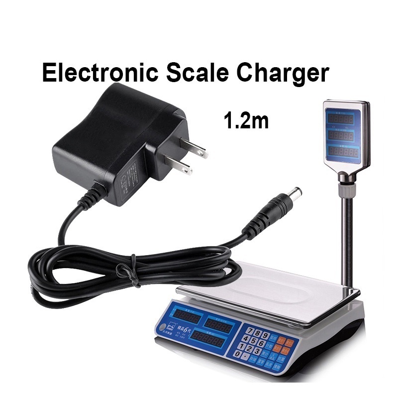 GDPLUS 6V 2a Charger For Digital Weighing Scale General Digital Master ...