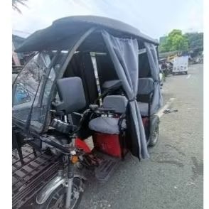 CURTAINS for ANY TYPE of ETRIKE 3 WHEEL and ETRIKE 4 WHEEL TASLAN ...