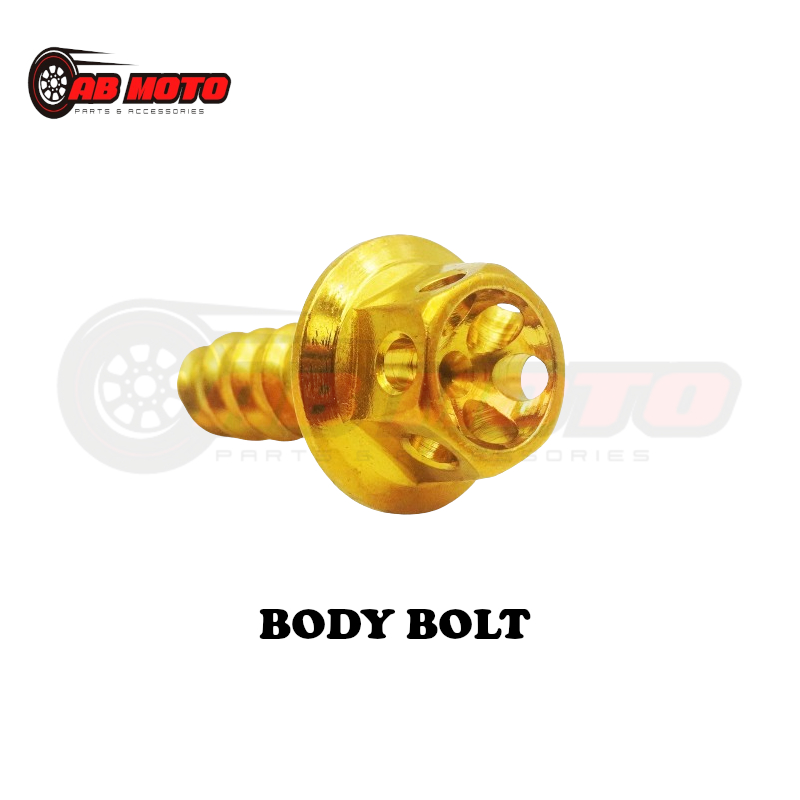 ABmoto BODY BOLT FLOWER TYPE 6*10/6*20/6*30 gold bolts flower bolt per ...
