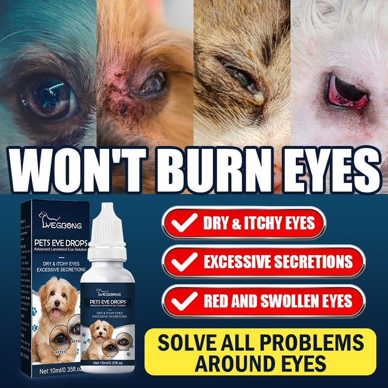 10ml eye drops for dogs, Cats, Cattle, Goats, Sheep and Poultry Improve ...
