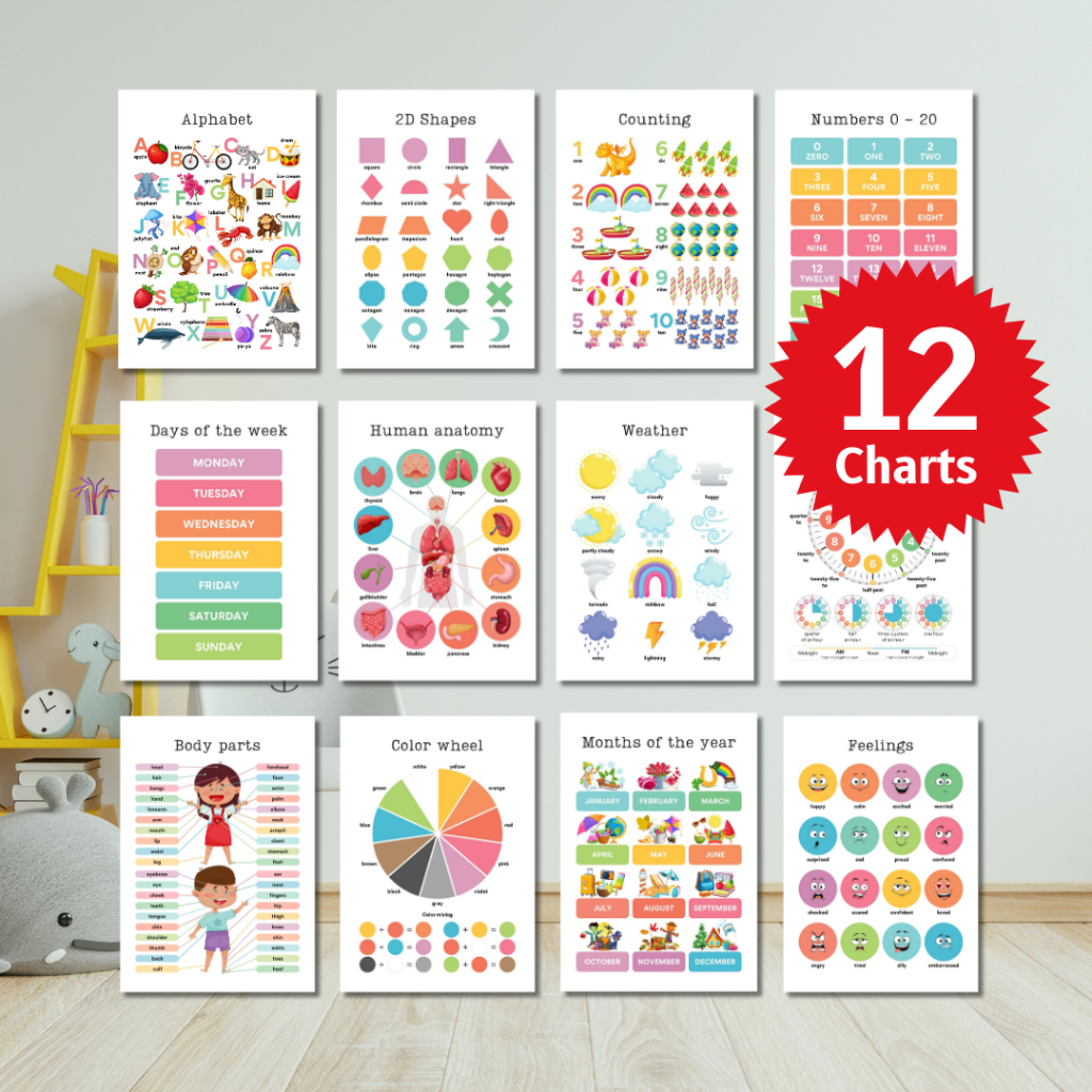 12 LAMINATED EDUCATIONAL WALL CHARTS, Minimalist Design, Learning ...