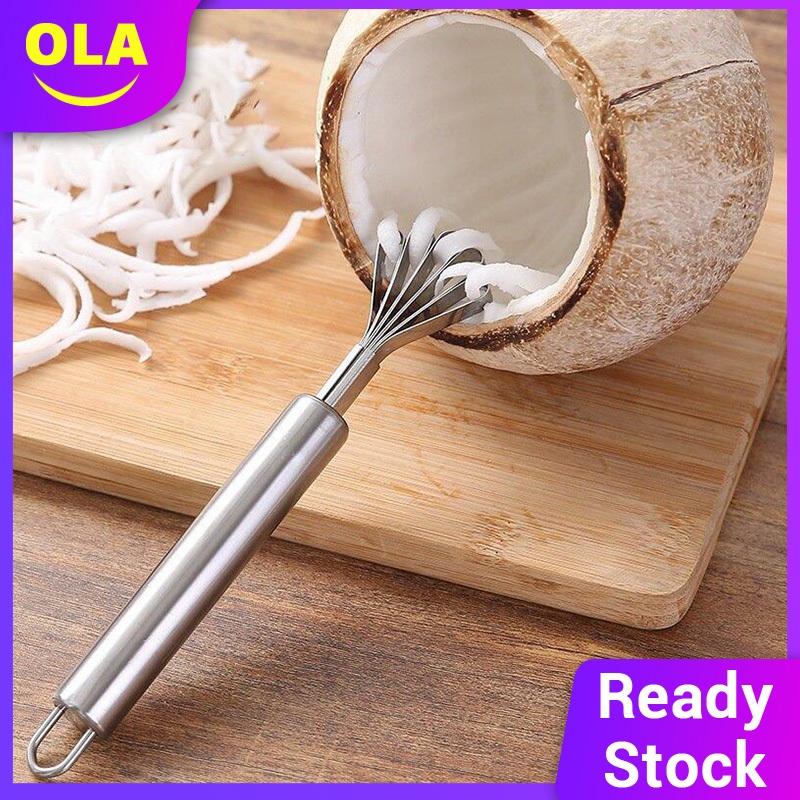 Stainless Steel Coconut Shredder Melon and Fruit Seed Remover Coconut ...