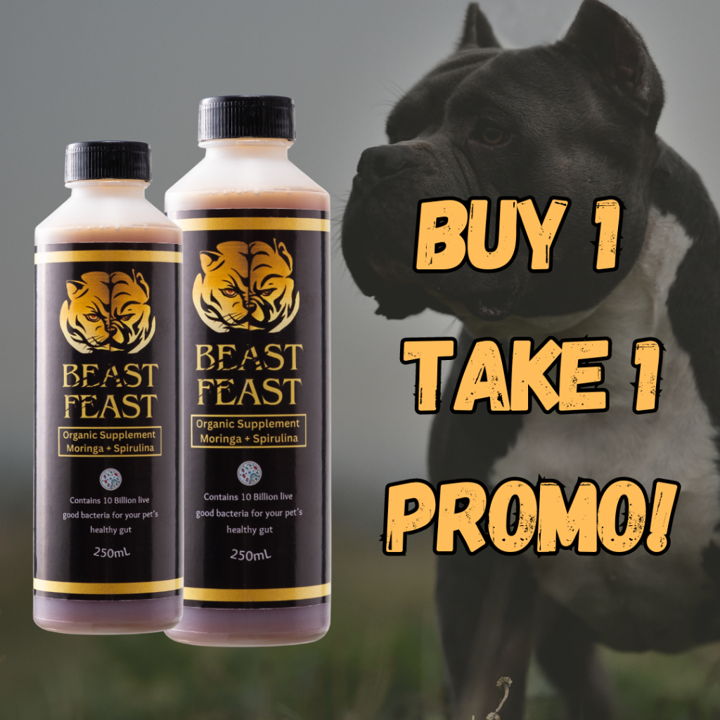 Beast Feast Probiotics + Prebiotics Fibers Organic Supplement with ...