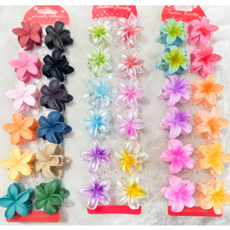 3-4CM(12PCS/PACK) HAIR CLIP | Shopee Philippines