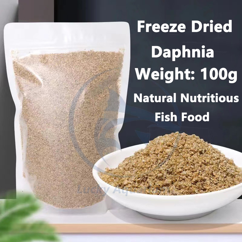 100g Freeze Dried Daphnia Natural Nutritious fish food for all kinds of ...
