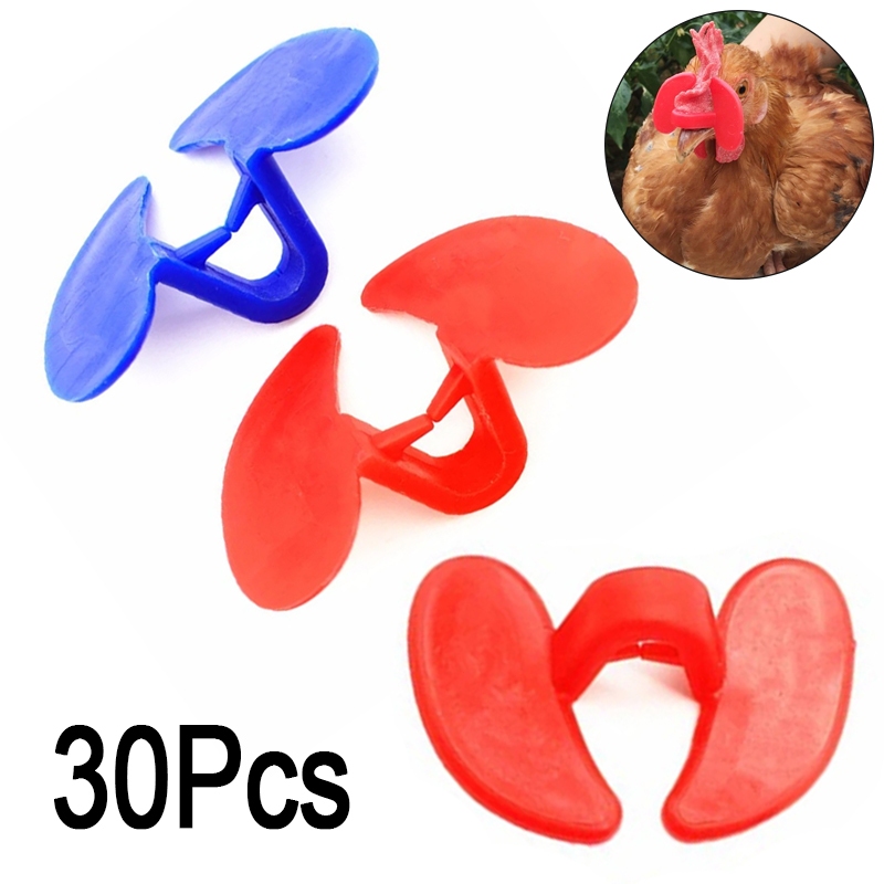 30 Piece Gamefowl Rooster Blinders to Avoid Pecking of Eggs (Red ...