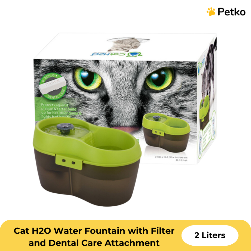 Cat H2O Water Fountain with Filter and Dental Care Attachment (2L ...