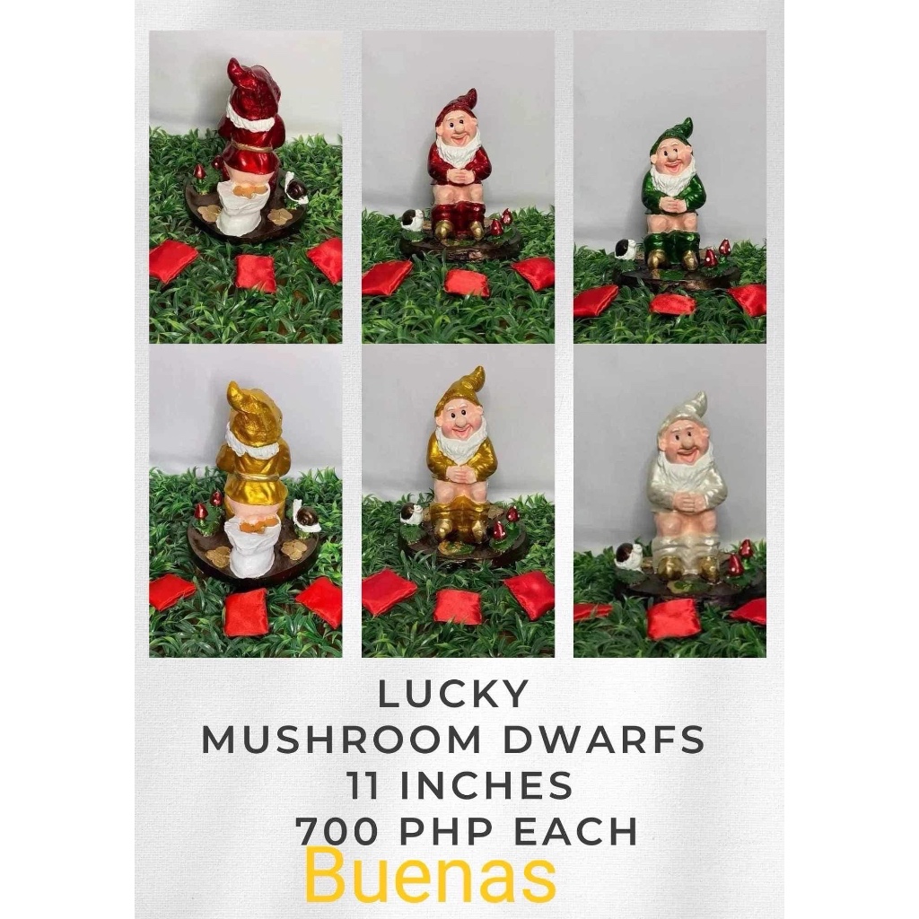 11 Inches Pooping Dwarf | Shopee Philippines