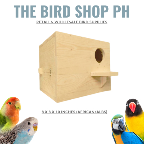 The Bird Shop PH Bird Nest box 8x8x10 for African/Albs Nesting | Shopee ...