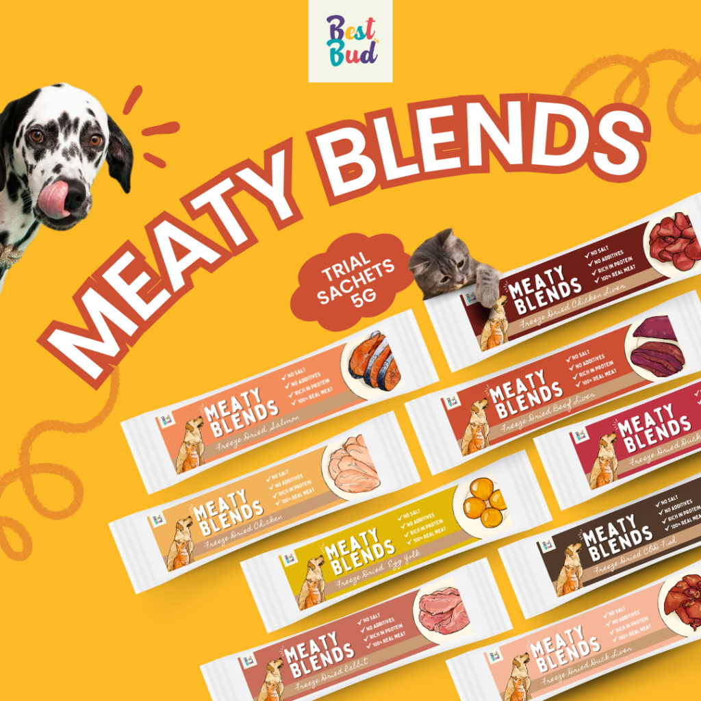 Bestbud Meaty Blends Appetite Booster Trial Sachet for Dogs and Cats 5 ...