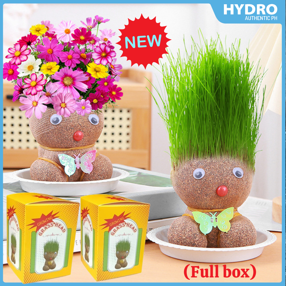 NEW Grass Head Room Decor Children Growing Grass Doll Toys Indoor ...