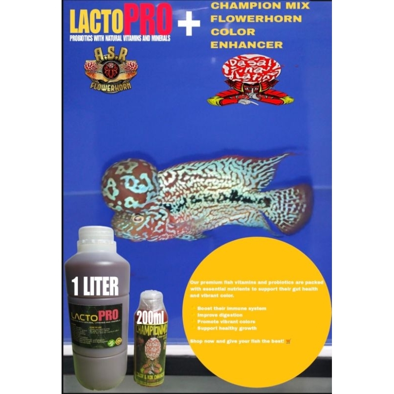 Champion Mix Flowerhorn Color Enhancer 250ML + LACTO PRO Probiotics with Vitamins and Minerals ...