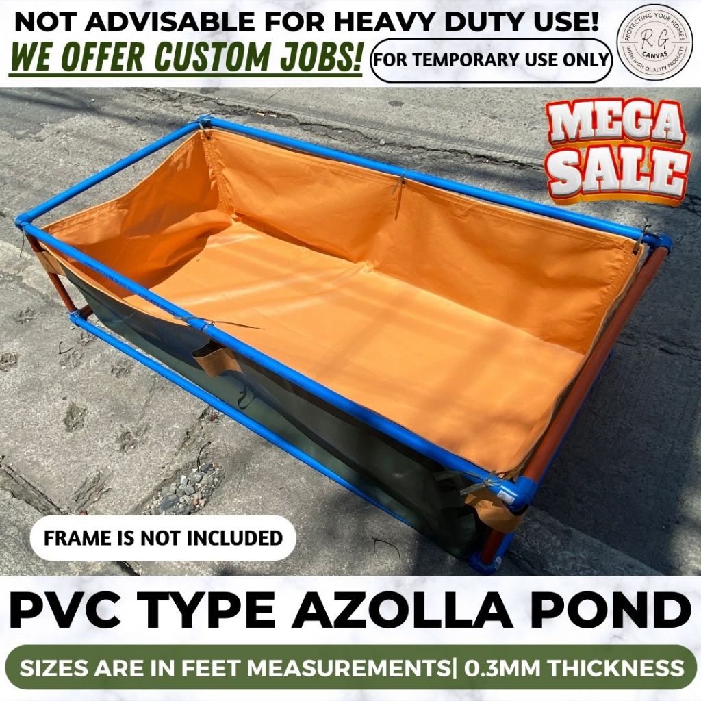 AZOLLA TRAPOND FISH POND KOI ANC AZOLLA BED TWO-TONED COLOR LONA TRAPAL ...