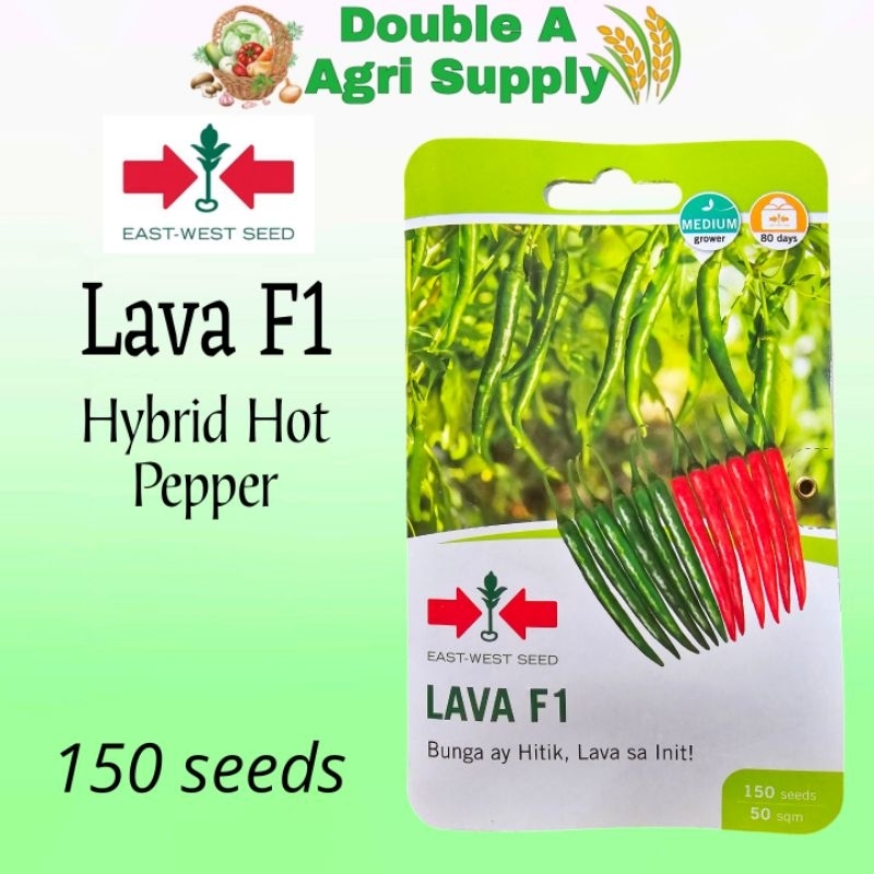 Lava F1 Hybrid Hot Pepper Grow Pack - East West Seed | Shopee Philippines