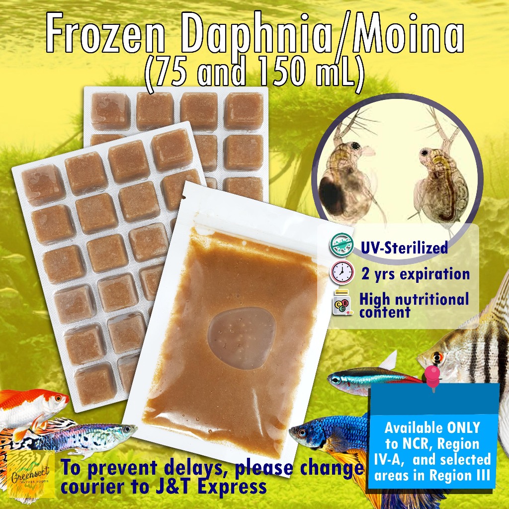 Frozen Daphnia Moina (WHOLESALE) fish food pet food | Shopee Philippines