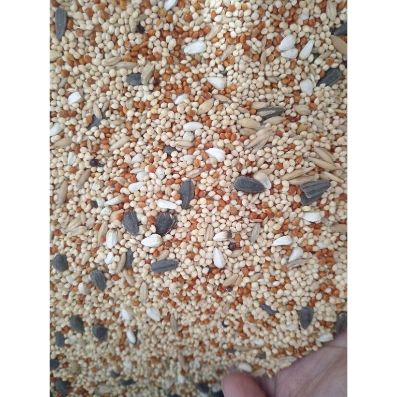 Regular African Mix For Birds Lovebirds Vacuum Sealed | Shopee Philippines