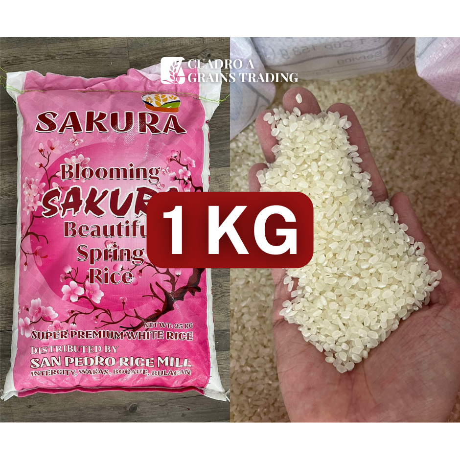 Blooming Sakura Japanese Super Premium White Rice Bigas 1 kg | Shopee ...
