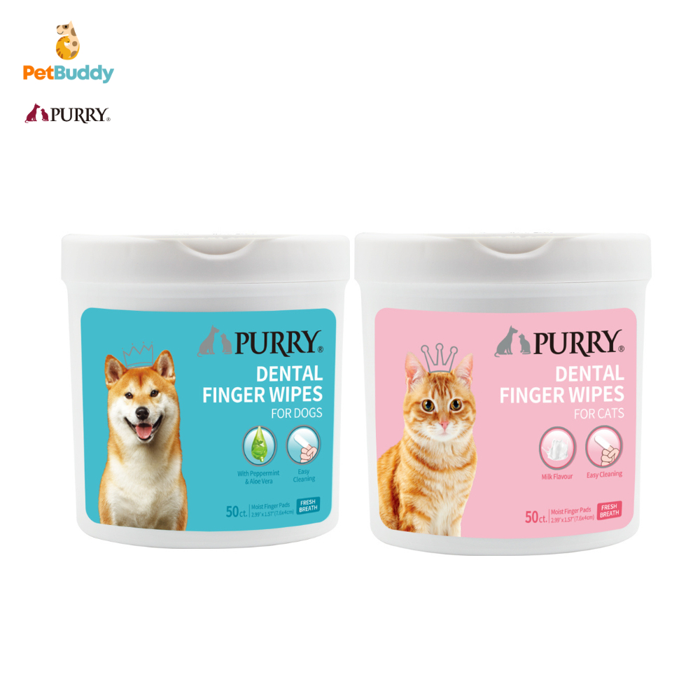 Purry Dog/Cat Dental Wipes 50 pcs | Shopee Philippines