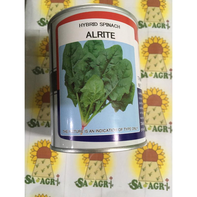 ALRITE HYBRID SPINACH SEEDS (100g) | Shopee Philippines