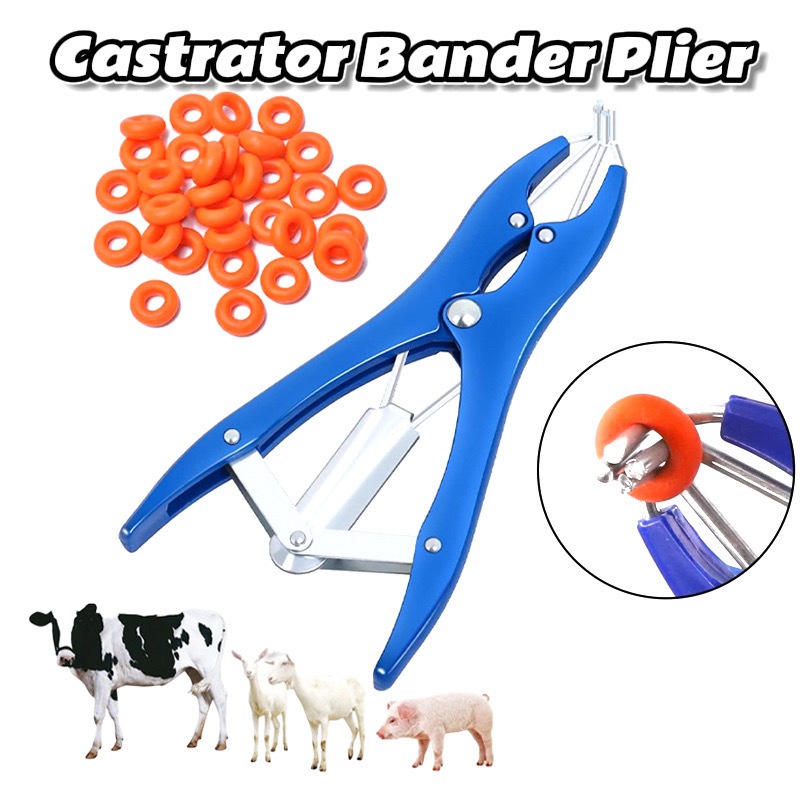 Castrator Bander Plier + 20Pcs Castration ring Elastrator castration tool dock tail for goat ...