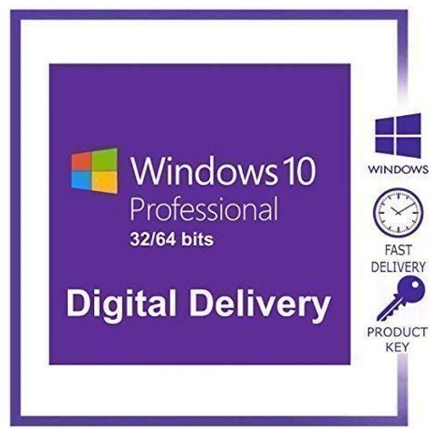 Windows 10 Professional OEM ( 2 PC ) all languages - Express Delivery ...